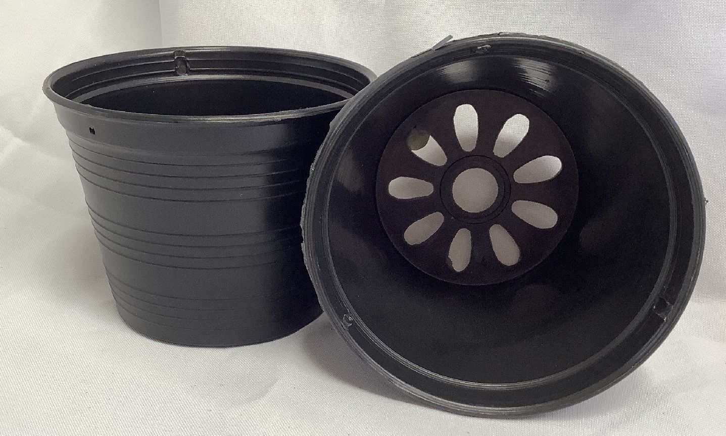 100MM Squat Economy Pots (Pack of 50) - Orchid Den