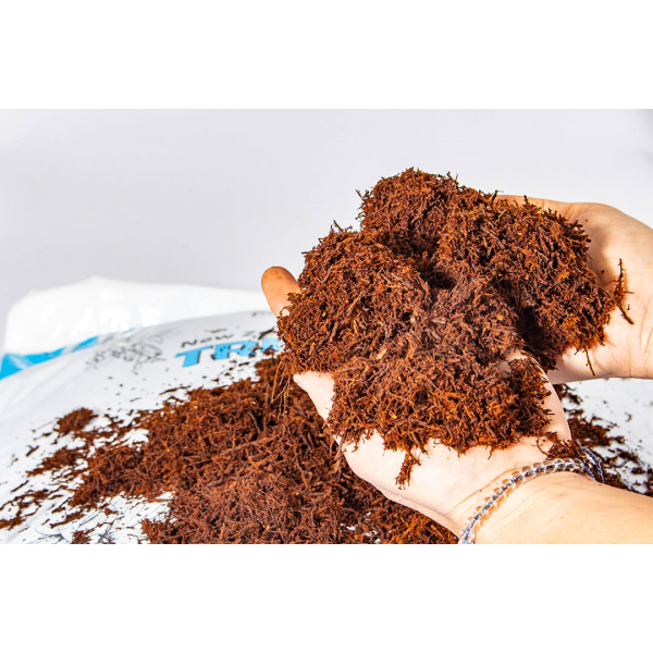 Tree Fern Orchid Substrate | Orchid Den